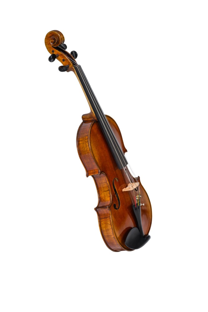 VIOLA Jacob Whitehall 470 - The String Tree